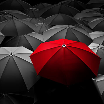 Home - AA Pointer Consulting